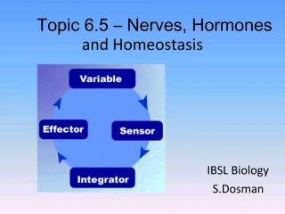 PPT - Topic 6.5 Nerves, Hormones and Homeostasis PowerPoint ...