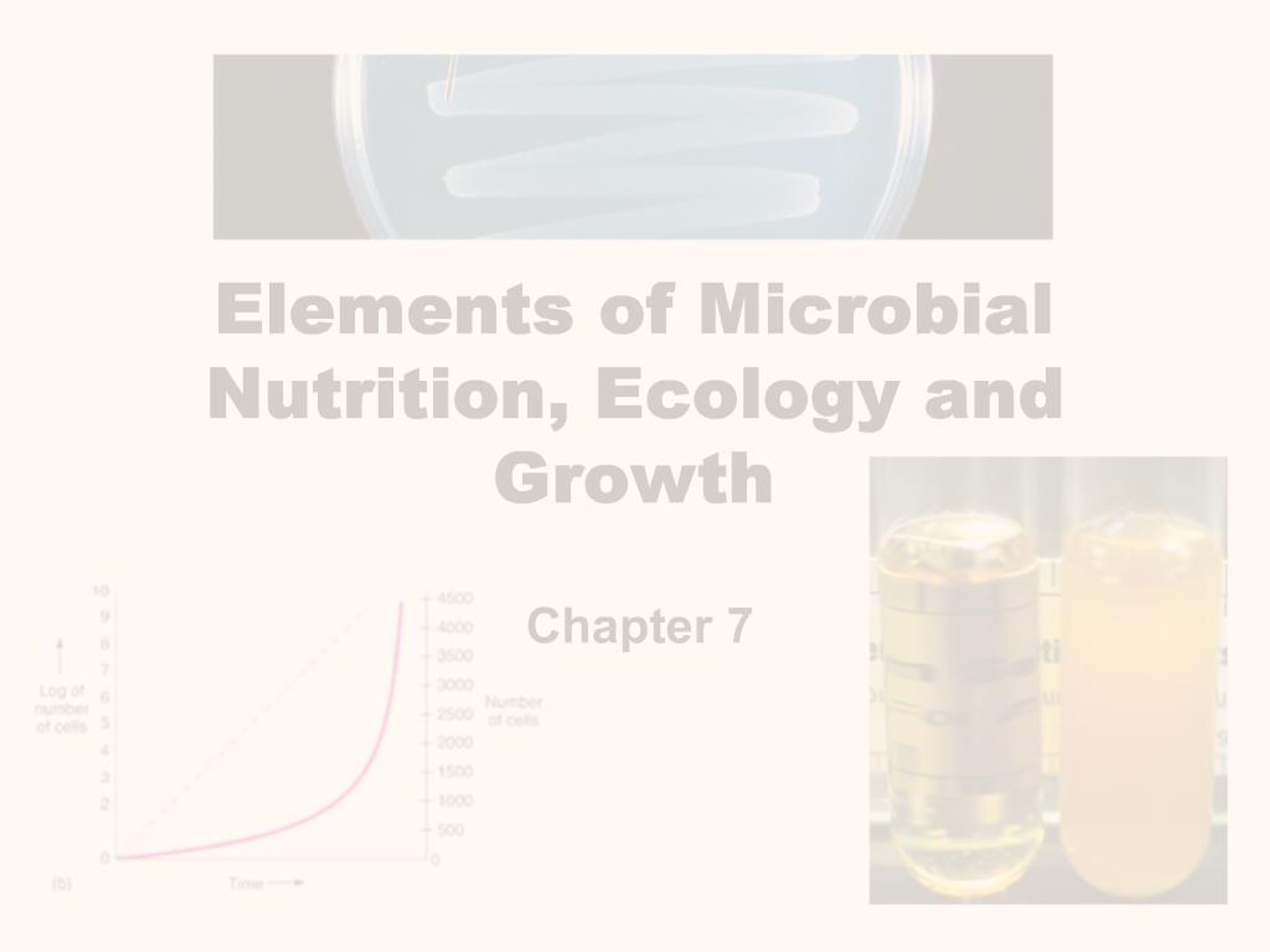 PPT - Elements of Microbial Nutrition, Ecology and Growth PowerPoint ...