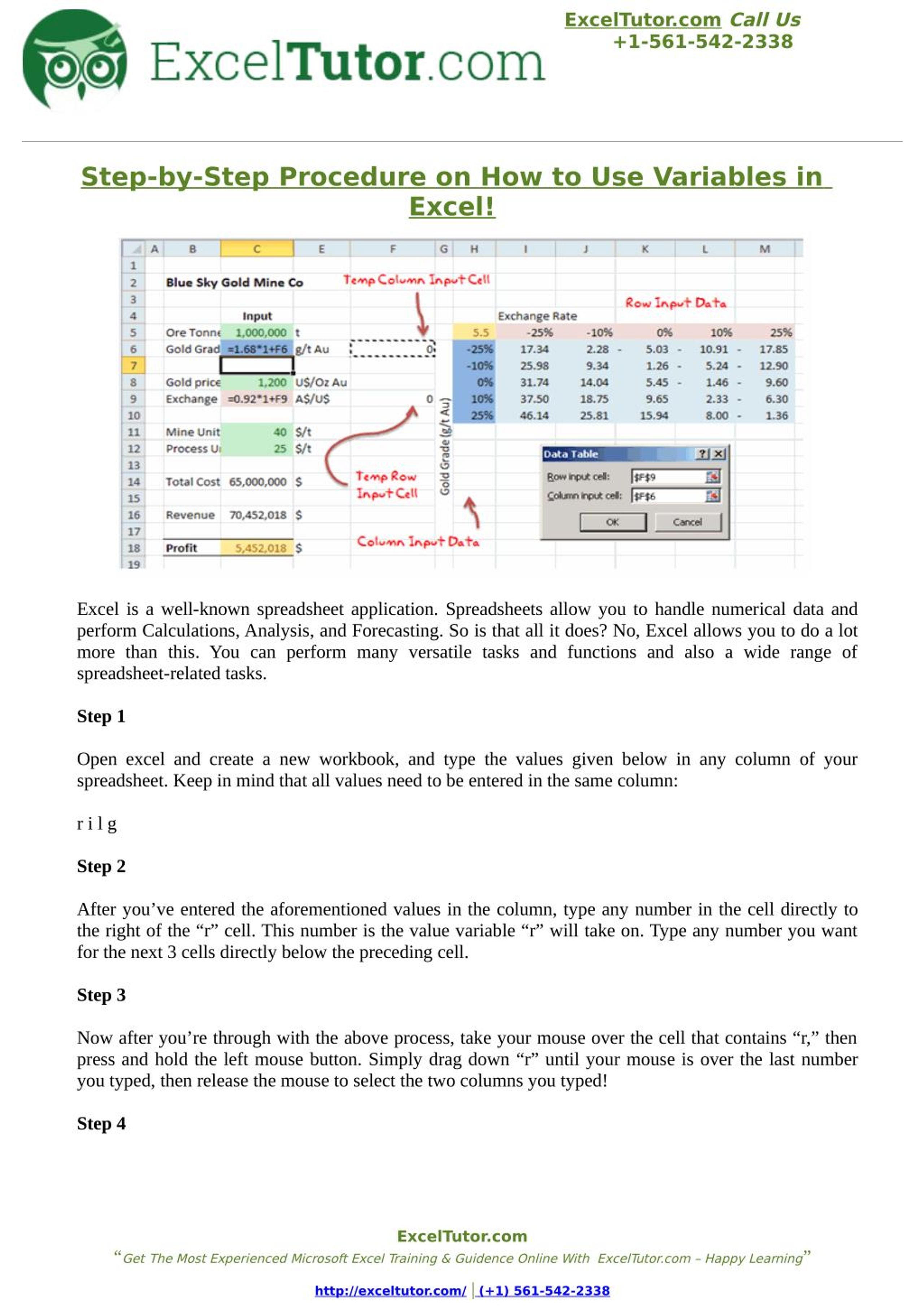 PPT - Step-by-Step Procedure on How to Use Variables in Excel ...
