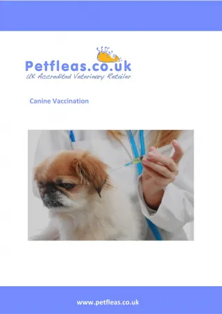 PPT - Canine Injection Techniques PowerPoint Presentation, free ...