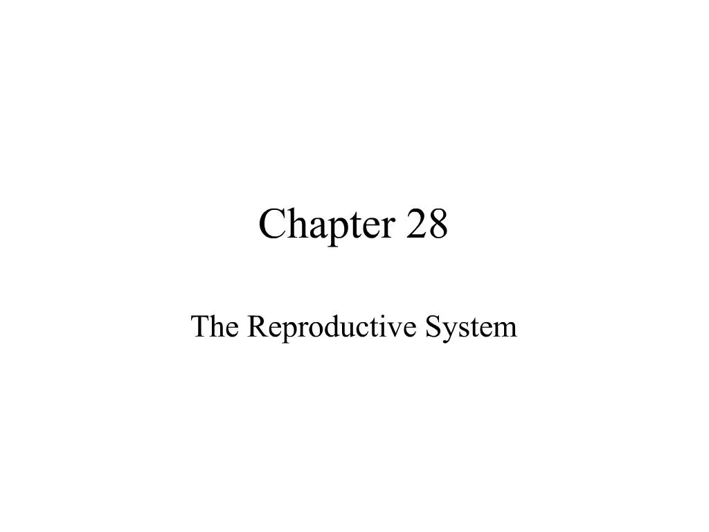 PPT - The Reproductive System PowerPoint Presentation, free download ...