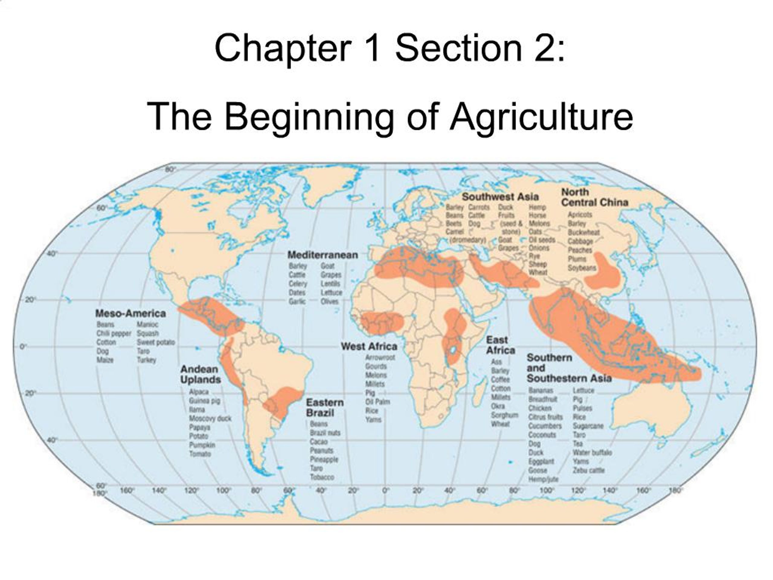 PPT - Chapter 1 Section 2: The Beginning of Agriculture PowerPoint ...