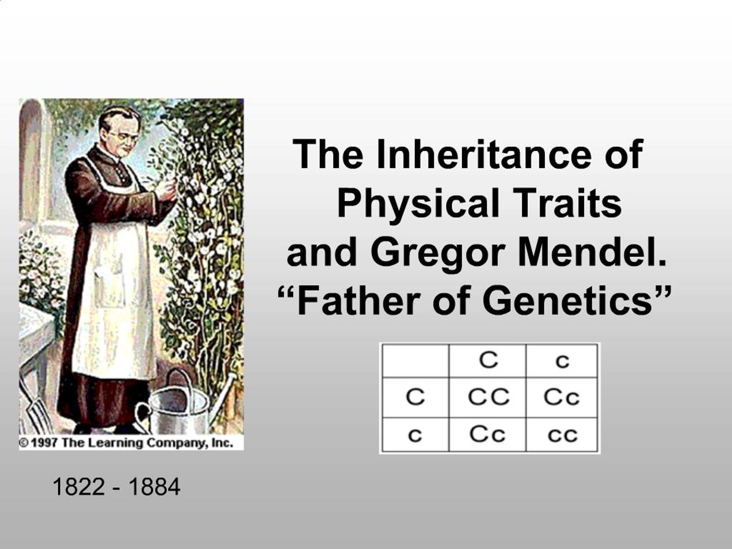 PPT - The Inheritance of Physical Traits and Gregor Mendel. Father of ...
