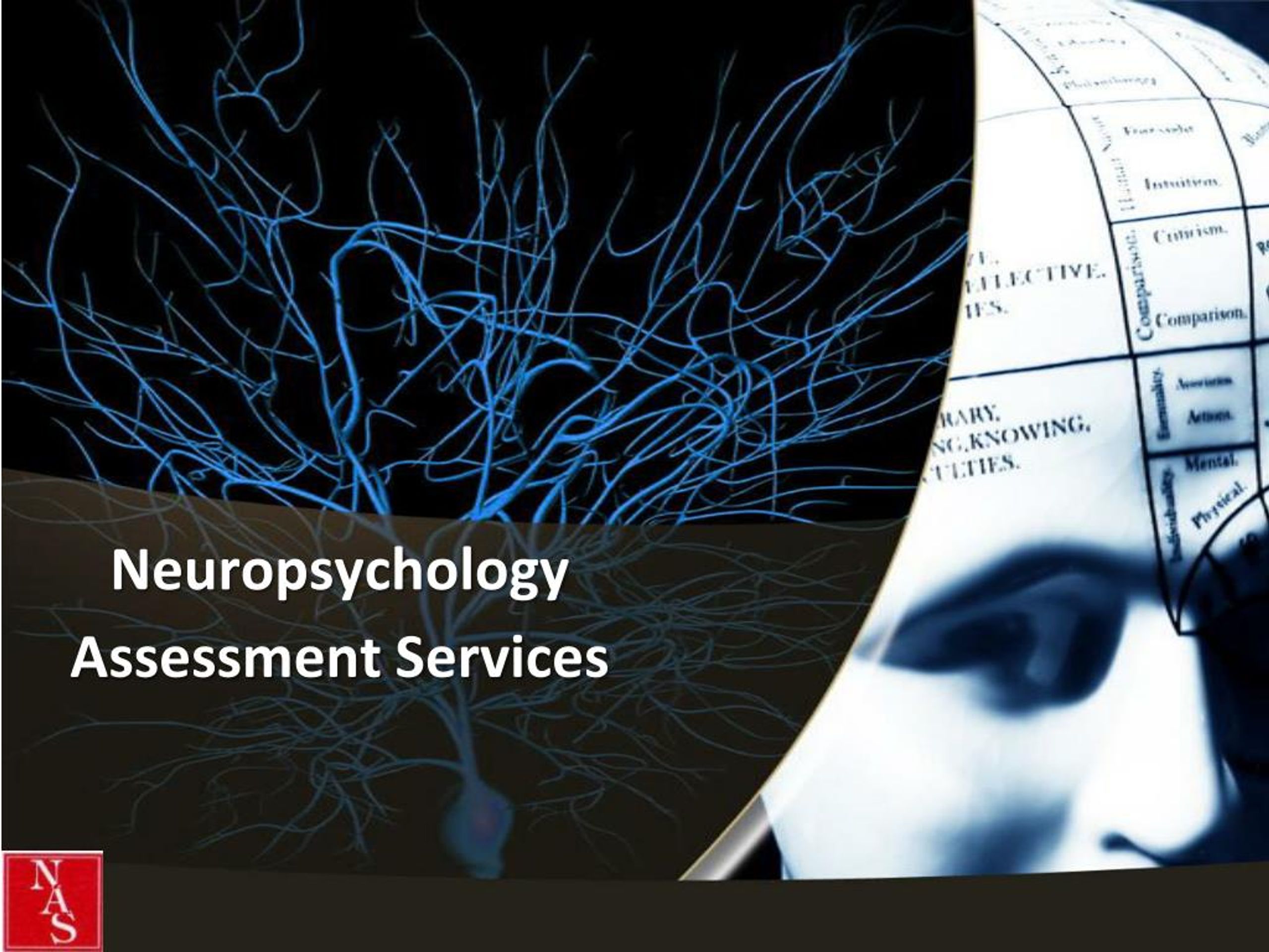 PPT - Neuropsychology Assessment Services PowerPoint Presentation, free ...