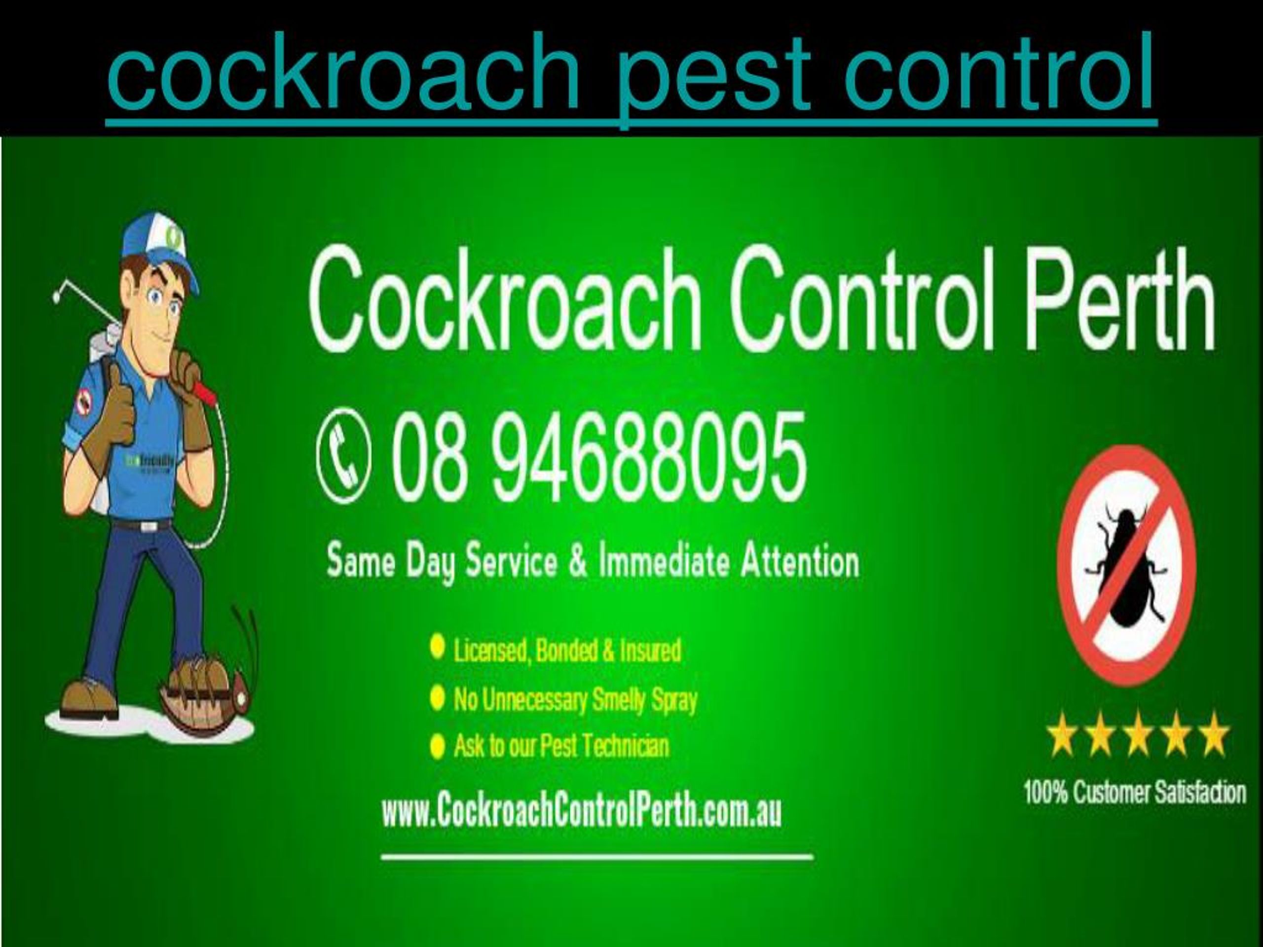 PPT - Cockroach Control Perth PowerPoint Presentation, free download ...