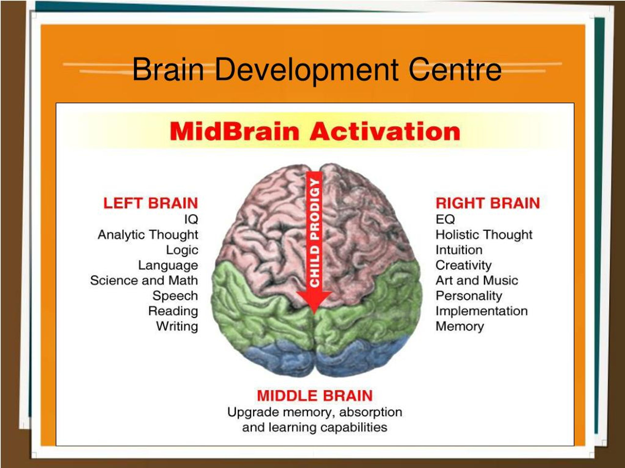 PPT - Midbrain Activation PowerPoint Presentation, free download - ID ...