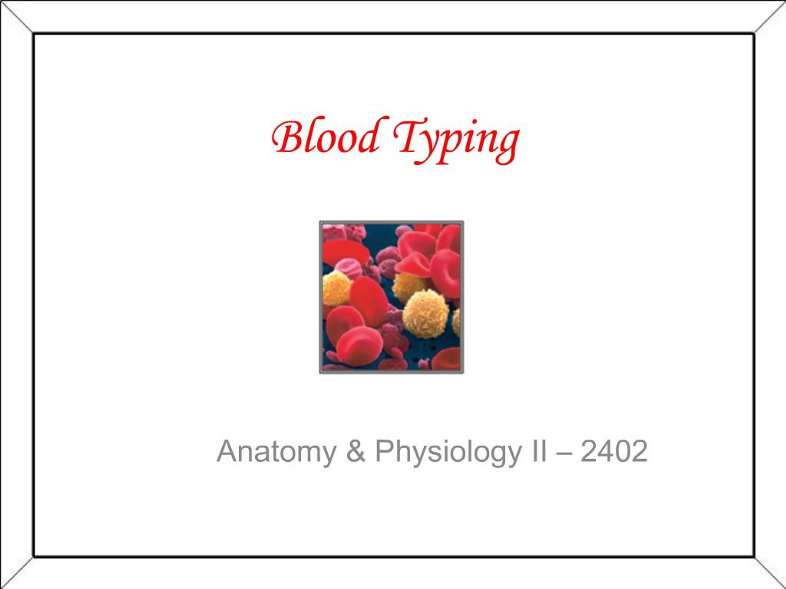 PPT - Blood Typing PowerPoint Presentation, free download - ID:743218