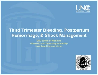 PPT - Postpartum Hemorrhage (PPH): Prevention & Management PowerPoint ...