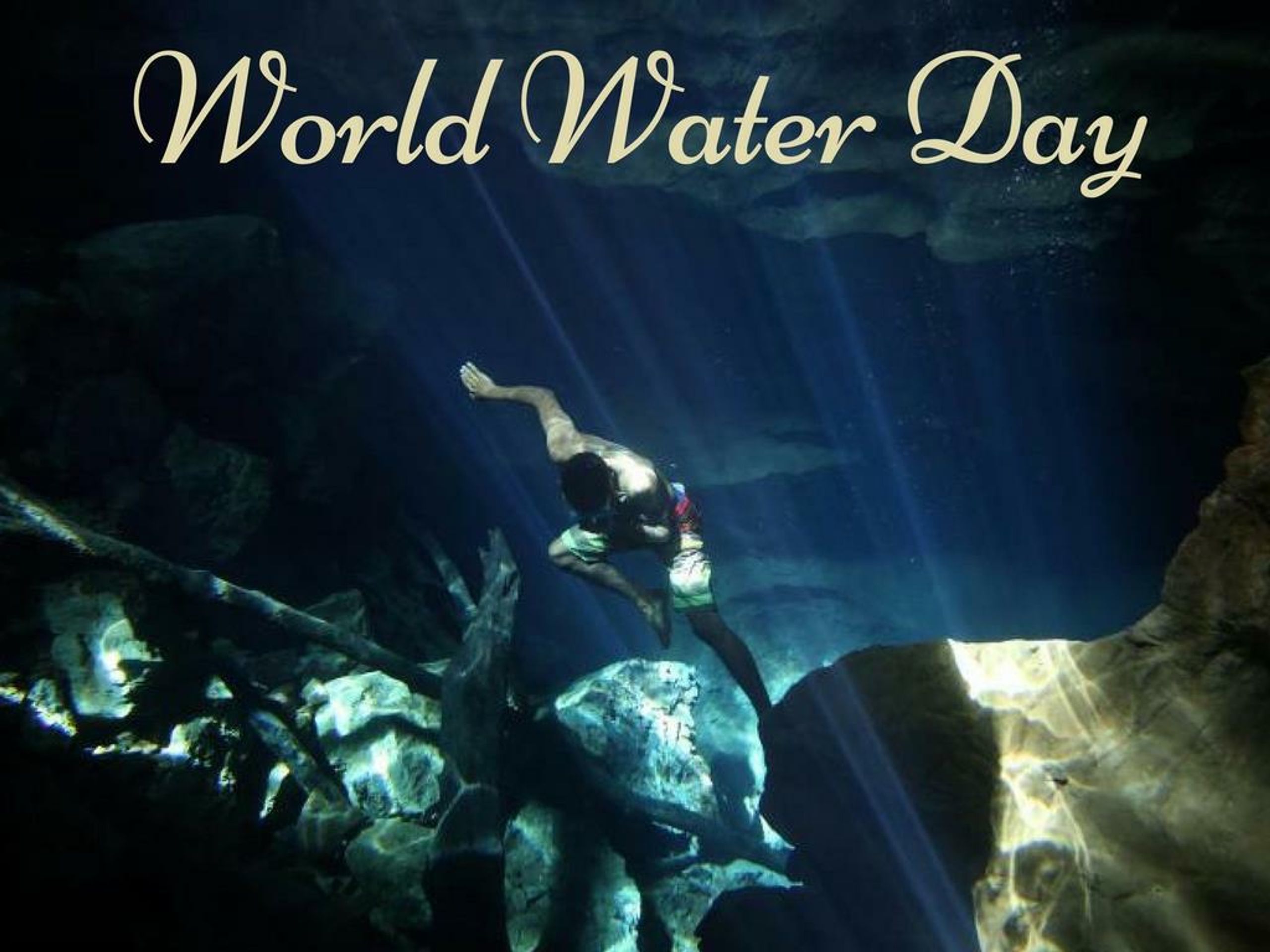 PPT - World Water Day PowerPoint Presentation, free download - ID:7536039