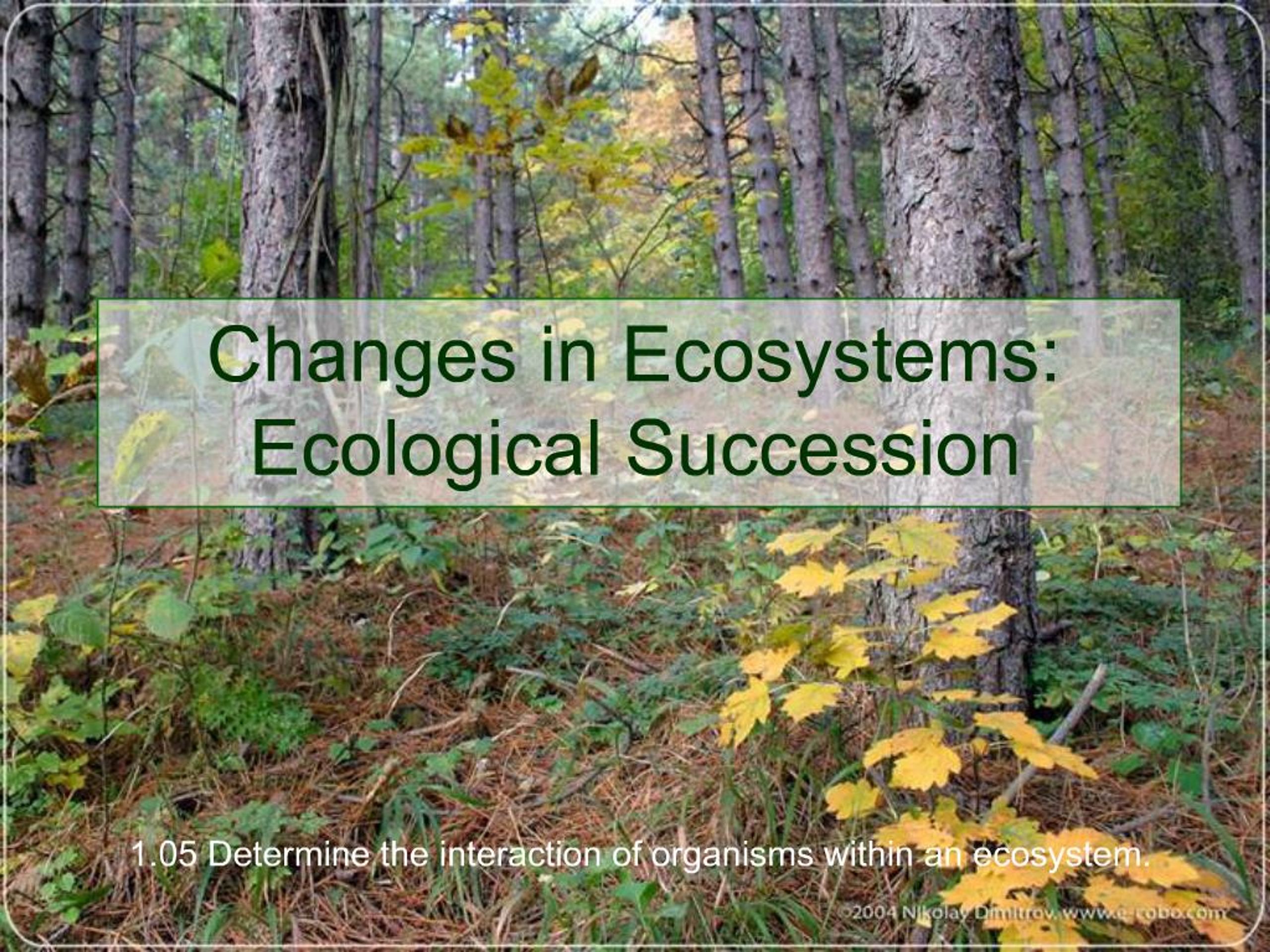 PPT - Changes in Ecosystems: Ecological Succession PowerPoint ...