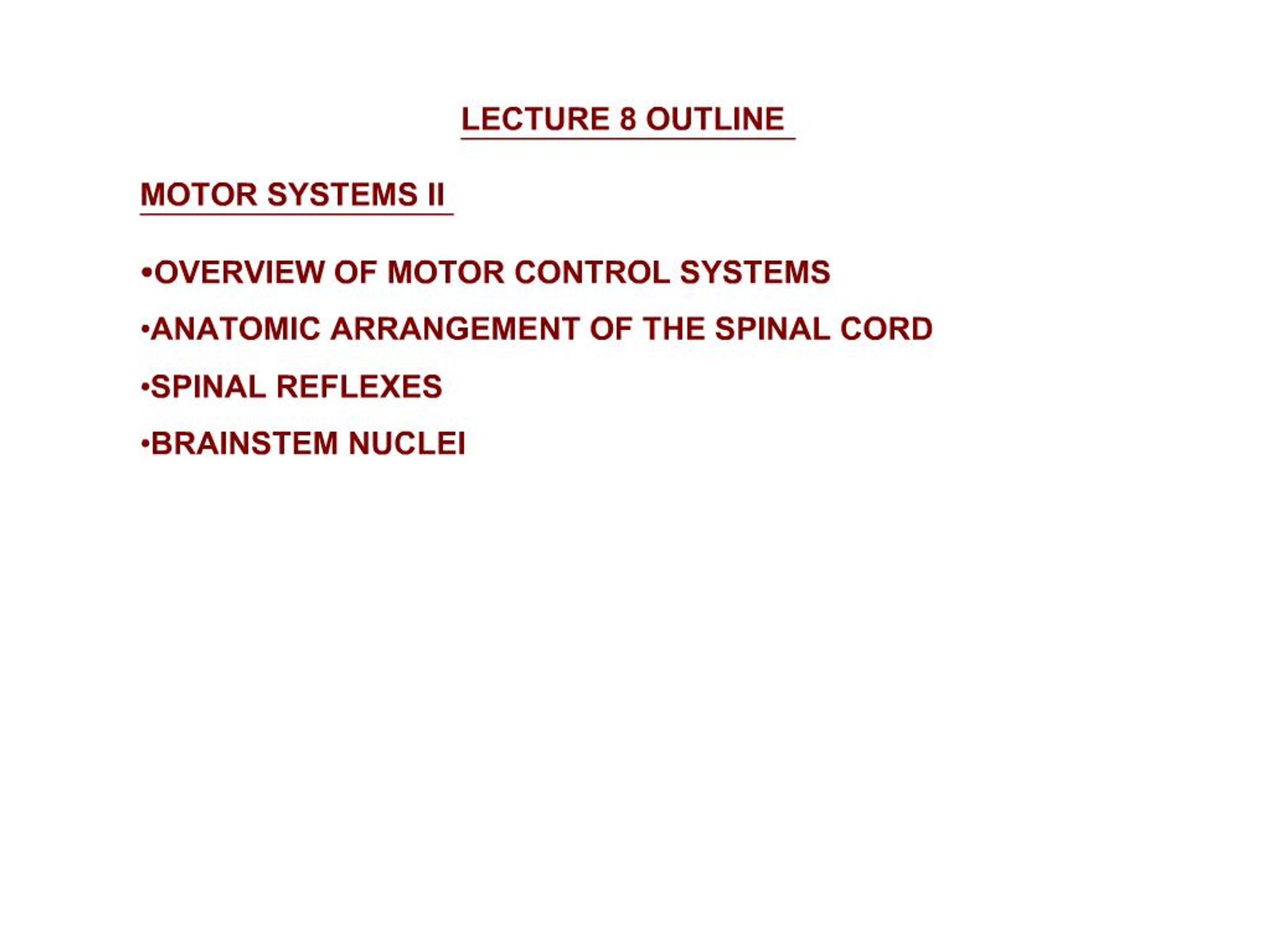 PPT - LECTURE 8 OUTLINE MOTOR SYSTEMS II OVERVIEW OF MOTOR CONTROL ...