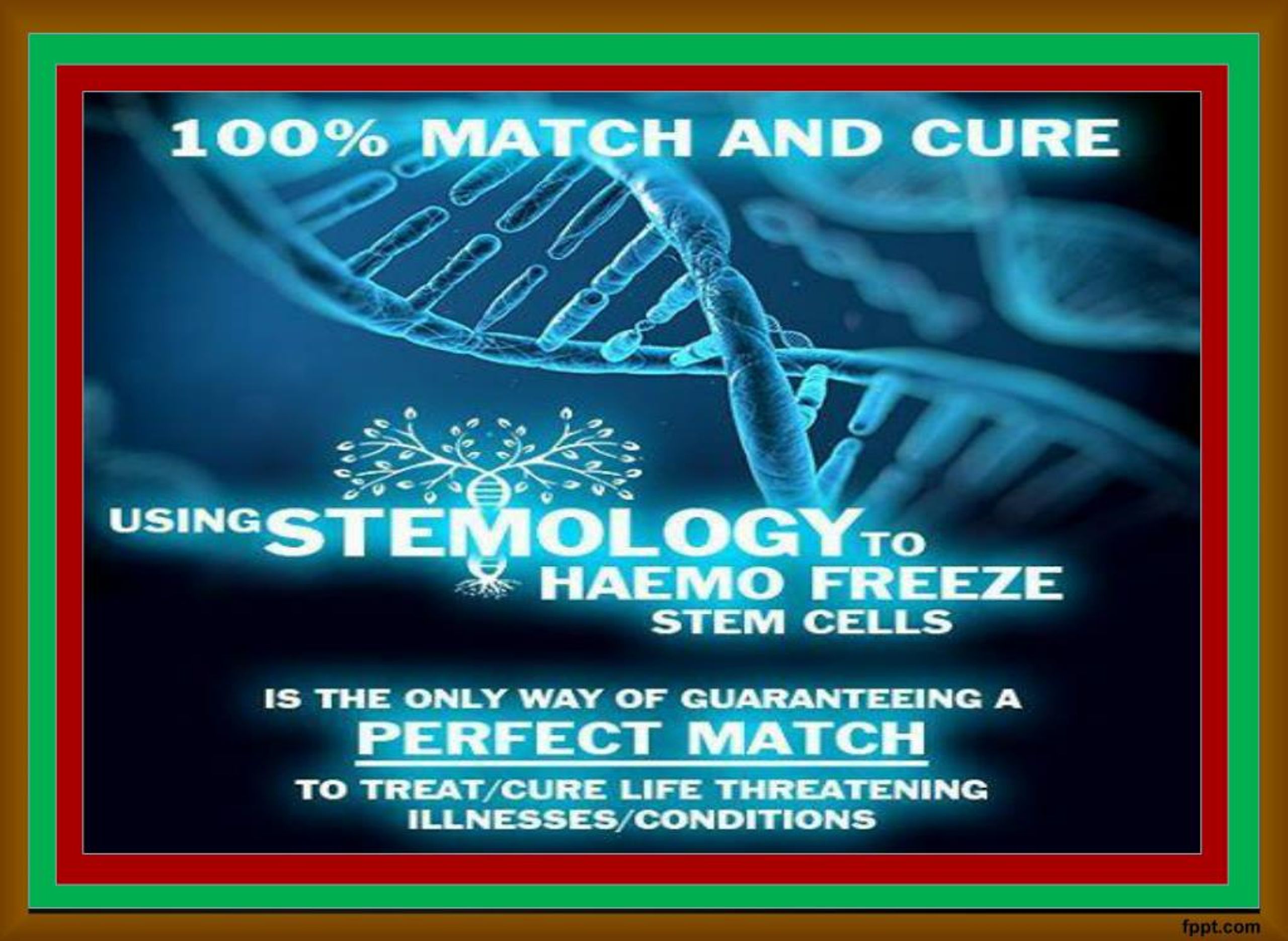 PPT - UK Stem Cell Banking PowerPoint Presentation, free download - ID ...