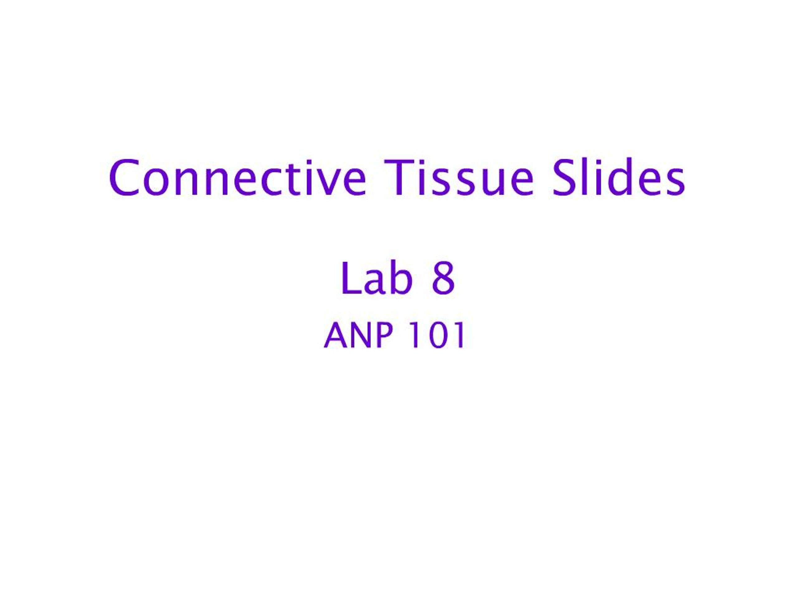 PPT - Connective Tissue Slides PowerPoint Presentation, free download ...
