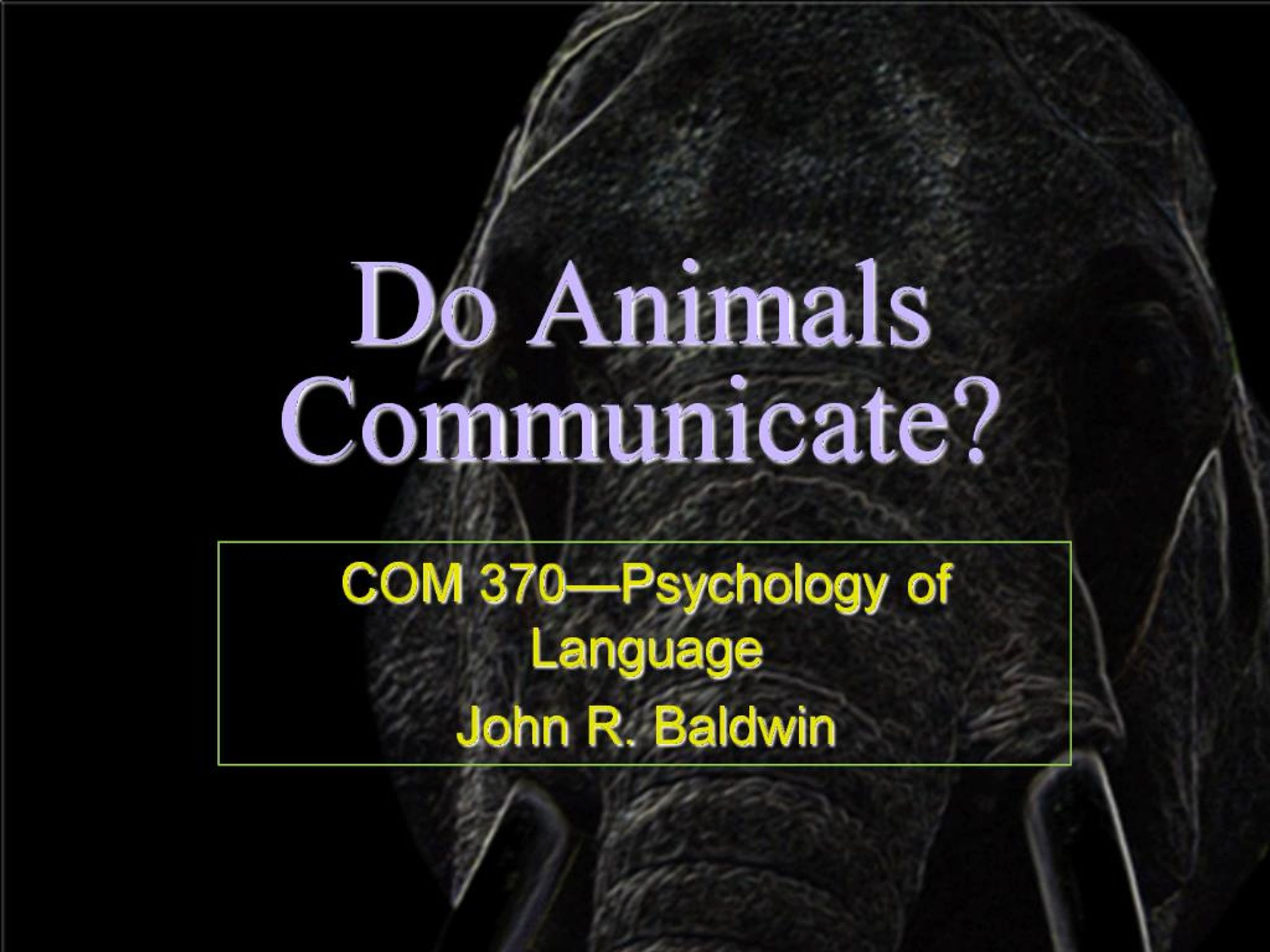 PPT - Do Animals Communicate PowerPoint Presentation, free download ...