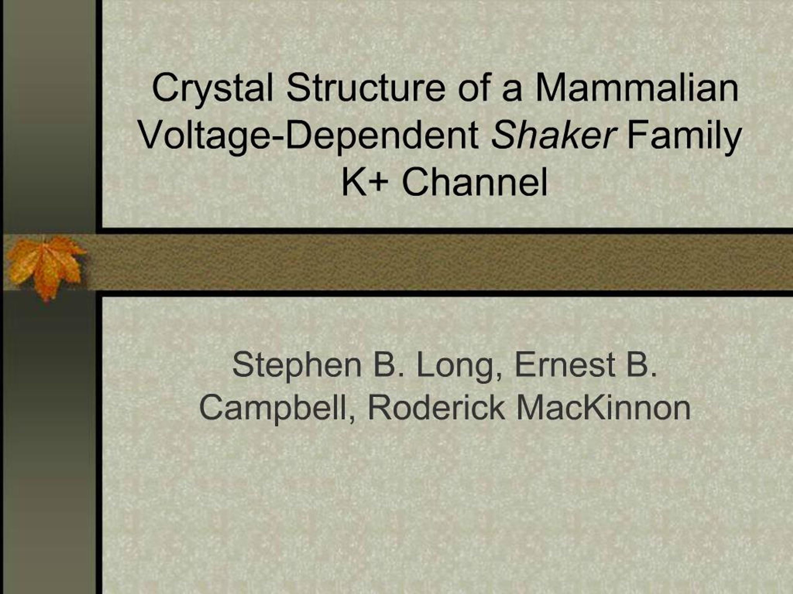 PPT - Crystal Structure of a Mammalian Voltage-Dependent Shaker Family ...