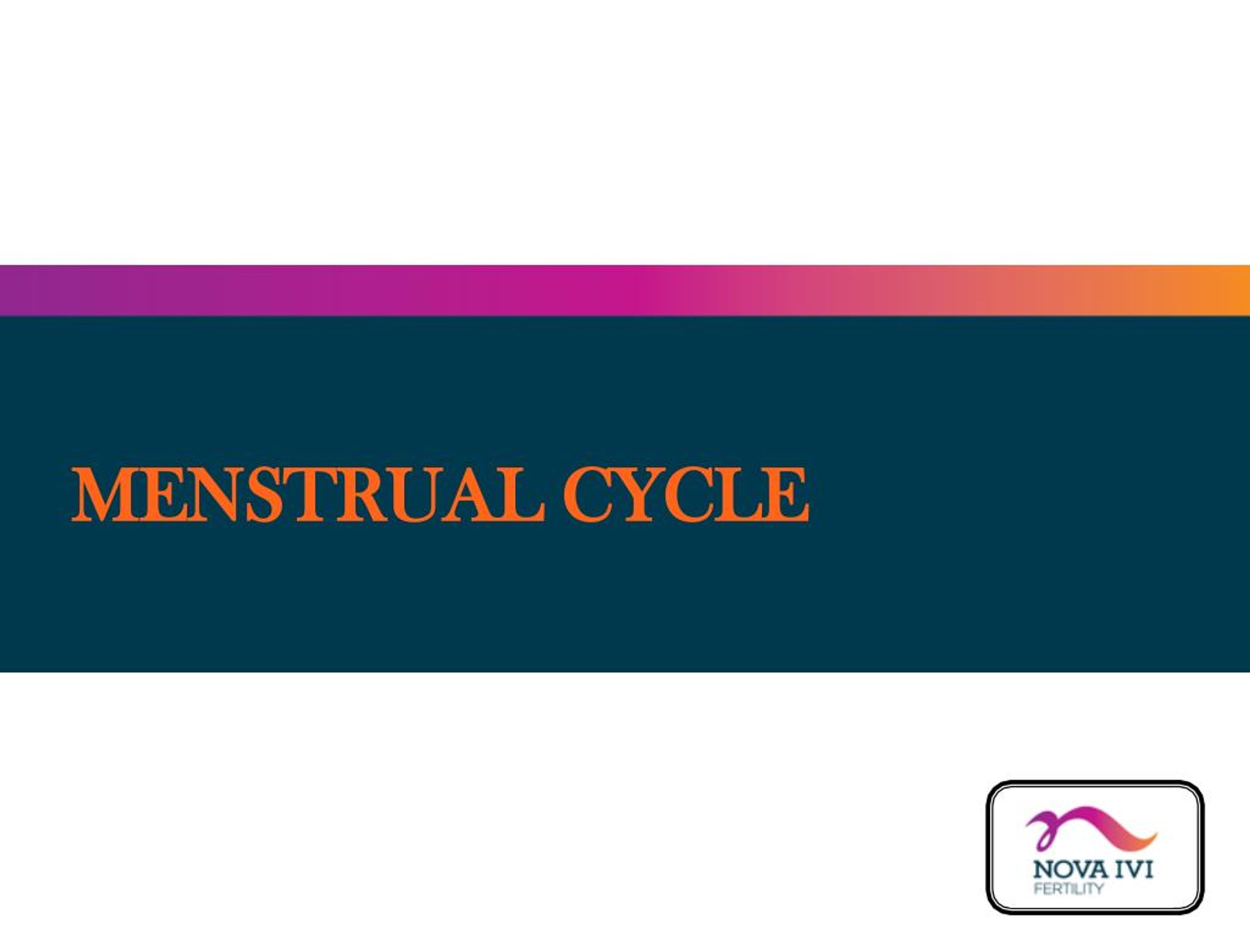 PPT - Menstrual Cycle PowerPoint Presentation, free download - ID:7564595