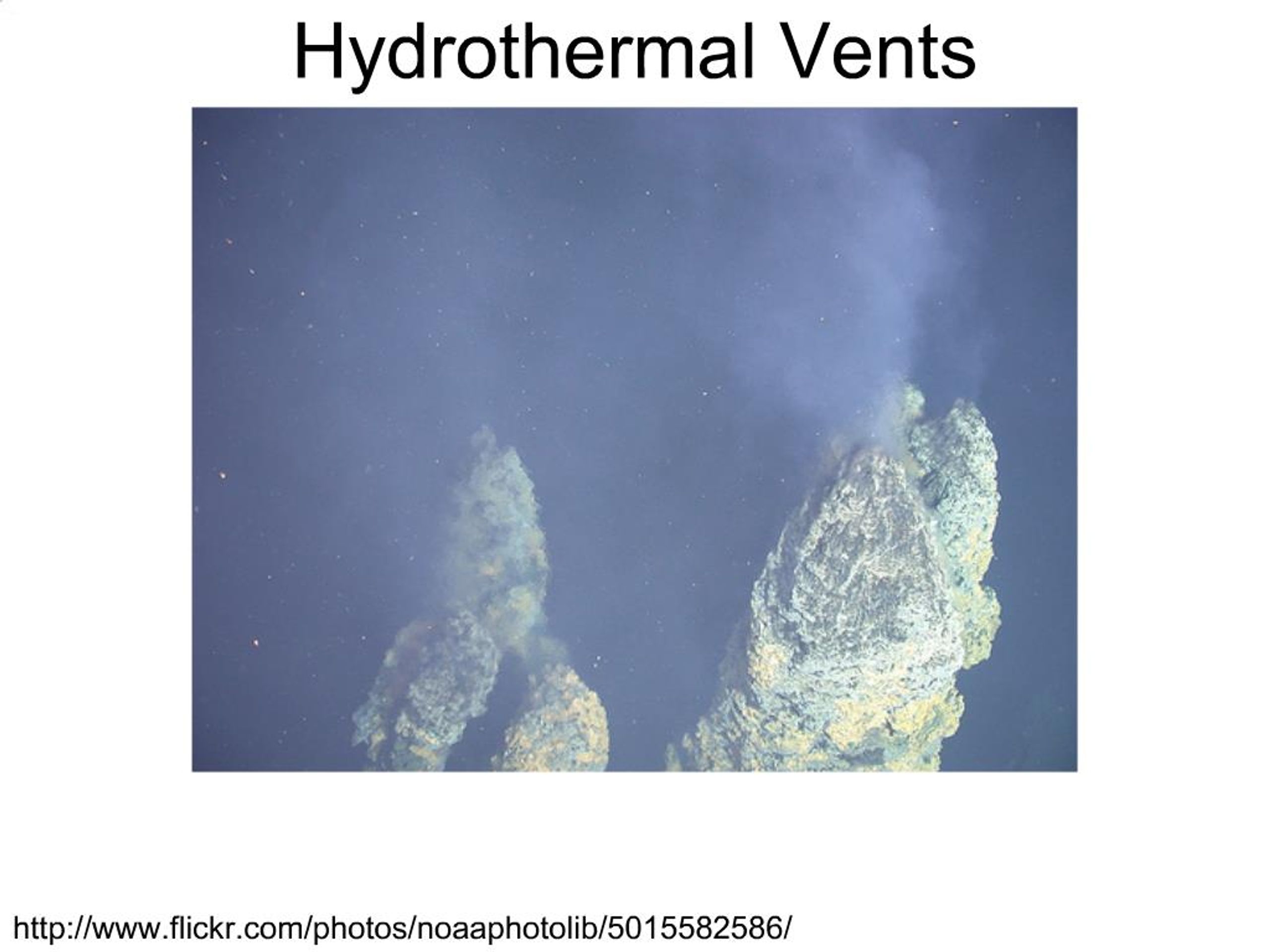 PPT - Hydrothermal Vents PowerPoint Presentation, free download - ID:758778