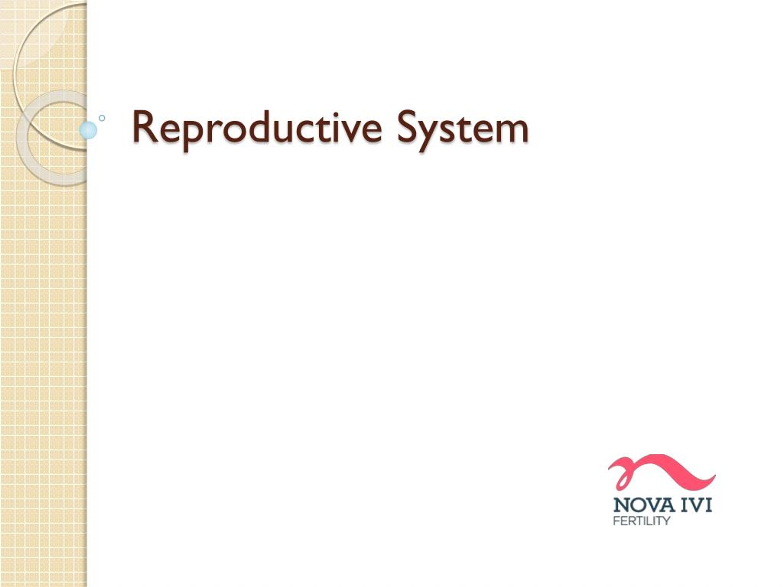 PPT - Reproductive System PowerPoint Presentation, free download - ID ...