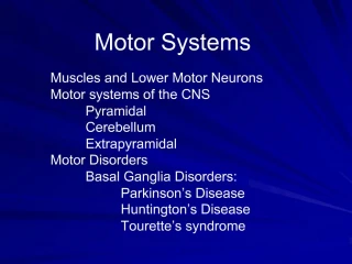 PPT - Introduction to the Motor Systems PowerPoint Presentation, free ...