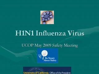 PPT - Influenza A Virus Structure PowerPoint Presentation, free ...