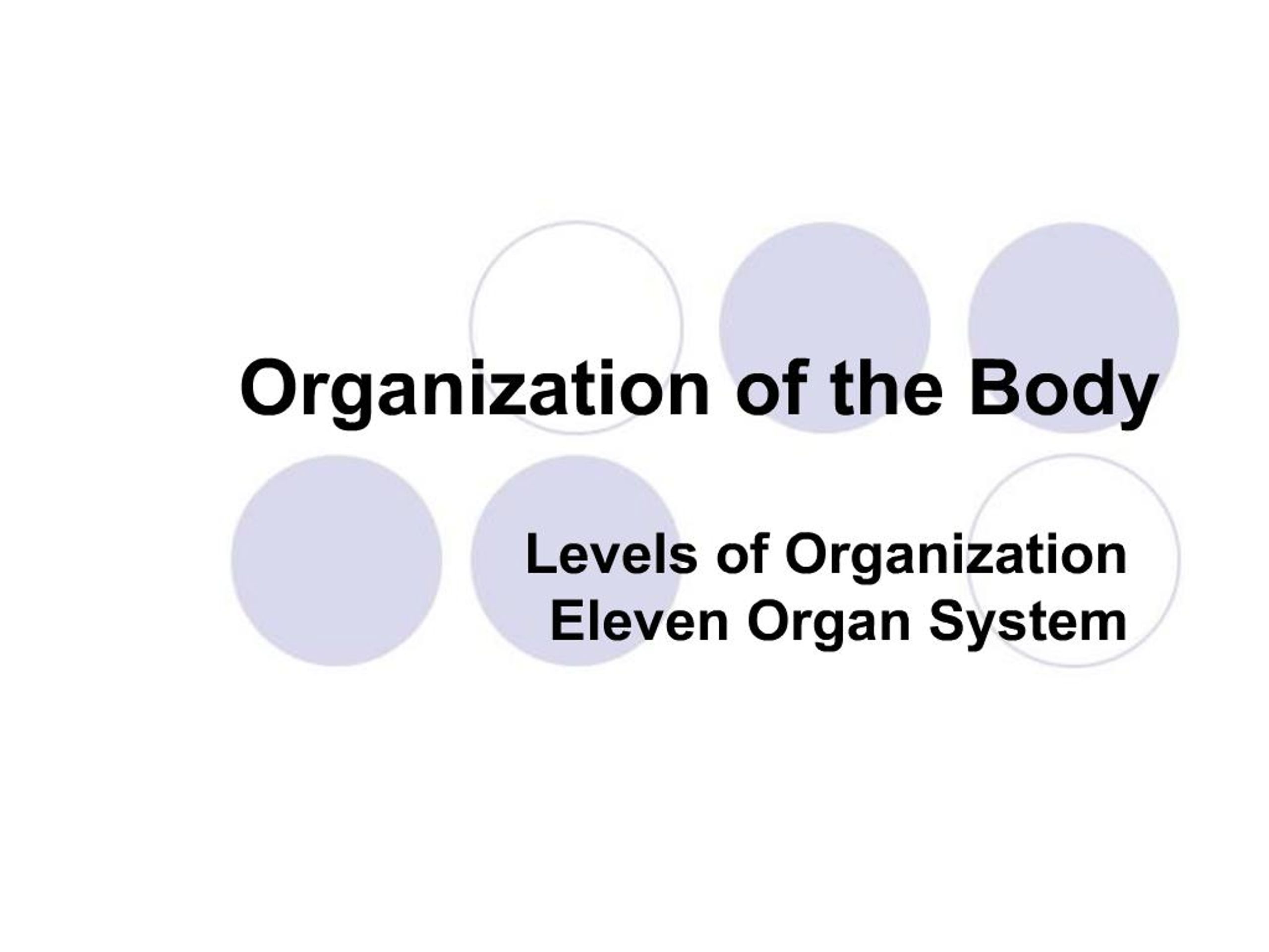 PPT - Organization of the Body PowerPoint Presentation, free download ...