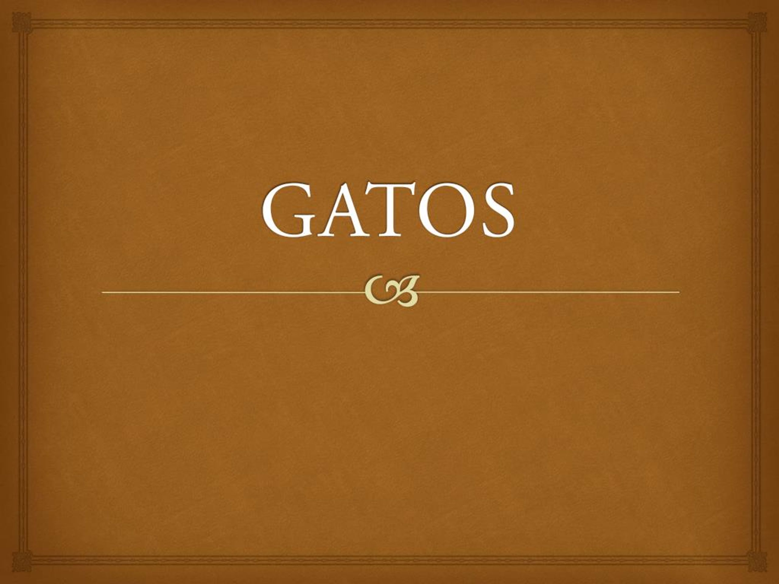 PPT - gatos PowerPoint Presentation, free download - ID:7612387