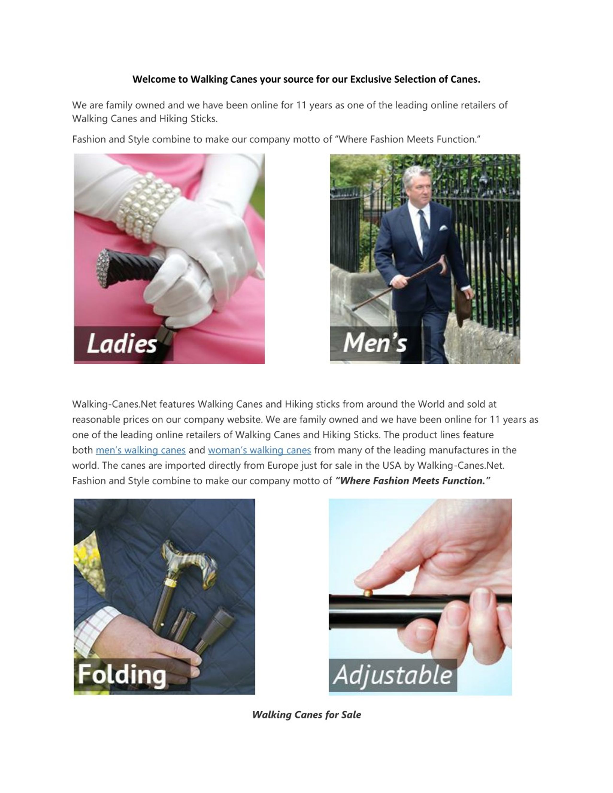 PPT - Walking Canes PowerPoint Presentation, free download - ID:7616653