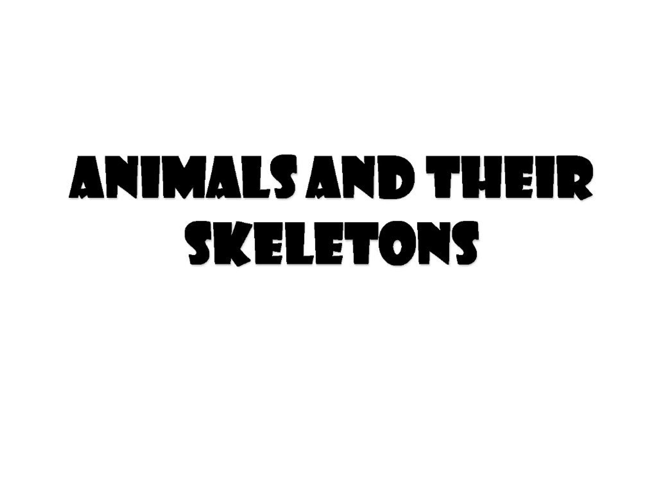 PPT - Animals and Their Skeletons PowerPoint Presentation, free ...