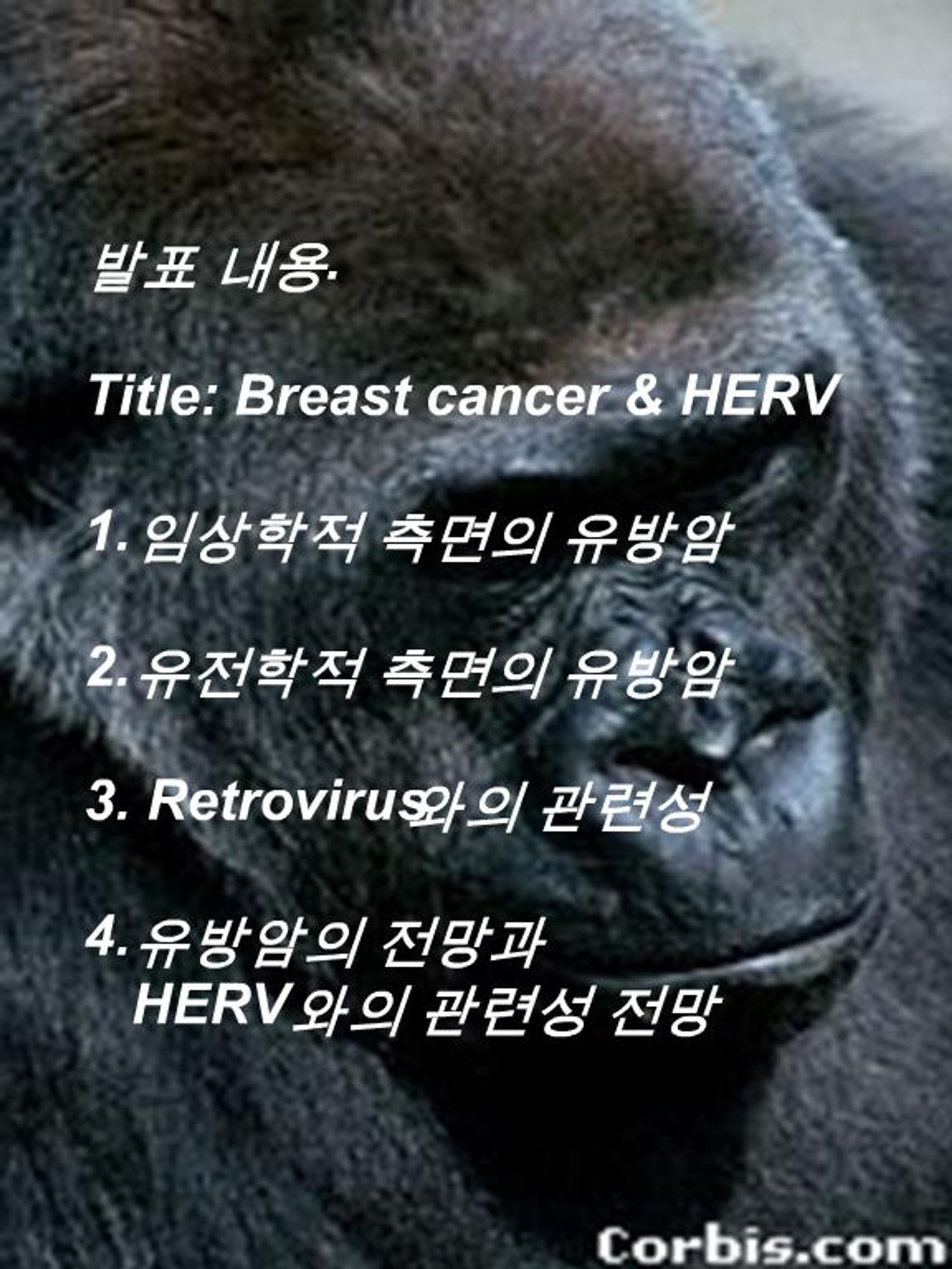 PPT - . Title: Breast cancer HERV 1. 2. 3. Retrovirus 4. HERV ...