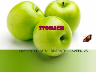 PPT - CARCINOMA STOMACH PowerPoint Presentation, free download - ID:1838378