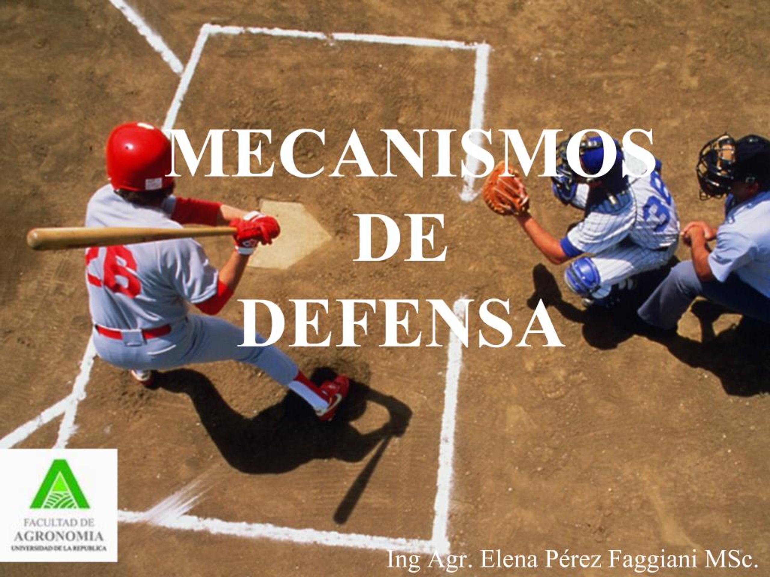 PPT - MECANISMOS DE DEFENSA PowerPoint Presentation, free download - ID ...