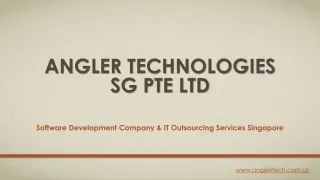 PPT - Professional IT Outsourcing Services by Techvedic PowerPoint Presentation - ID:7132788