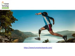 PPT - Upper and lower limb prosthesis PowerPoint Presentation, free ...