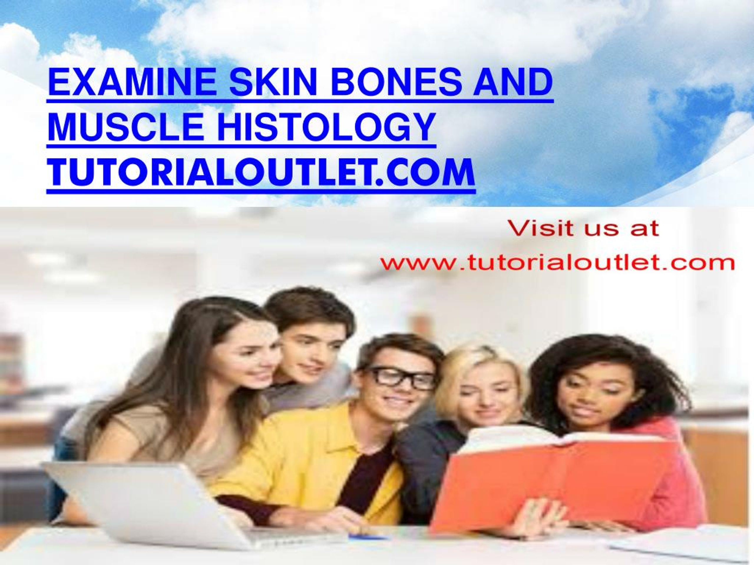 PPT - Examine Skin, Bones and Muscle Histology PowerPoint Presentation ...