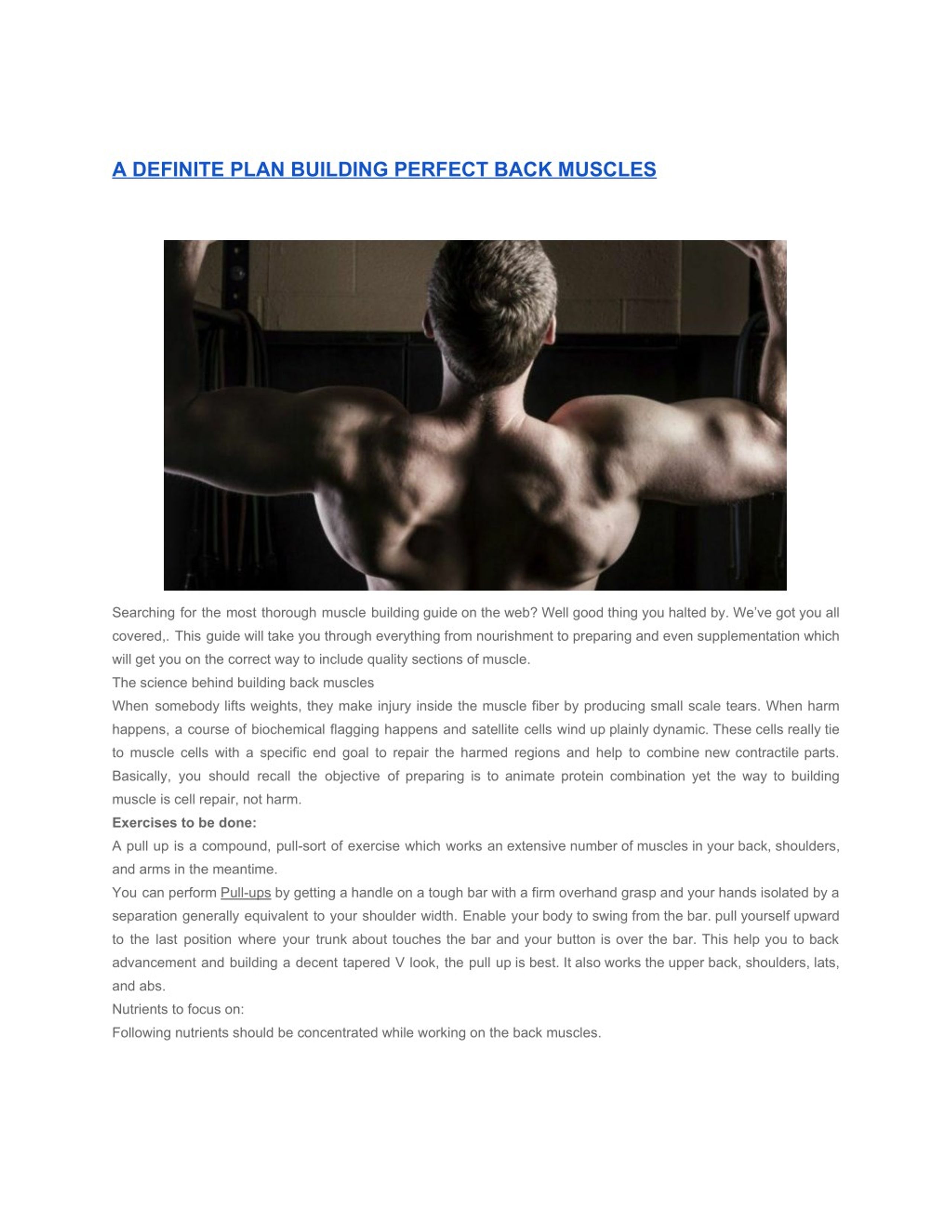 PPT - A DEFINITE PLAN BUILDING PERFECT BACK MUSCLES PowerPoint ...