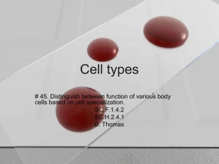 PPT - CLASSIFICATION OF CELL TYPES PowerPoint Presentation, free ...