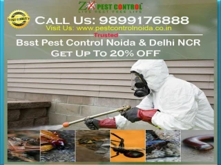 PPT - Get Termite treatment in Noida by ZX Pest Control PowerPoint Presentation - ID:7473244