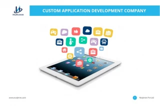 PPT - Custom Website Application Development PowerPoint Presentation, free download - ID:7186952