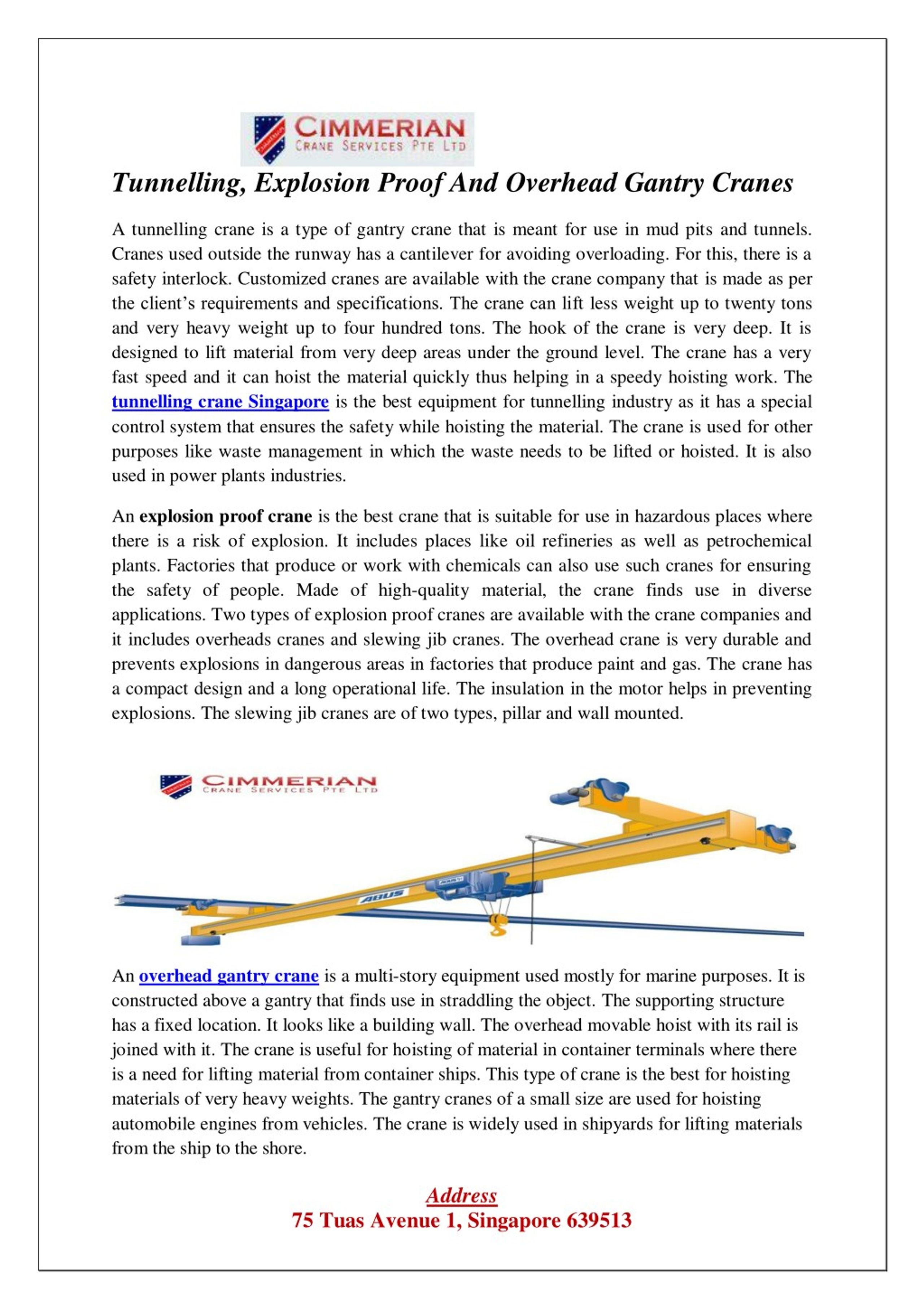 PPT - Tunnelling, Explosion Proof And Overhead Gantry Cranes PowerPoint ...