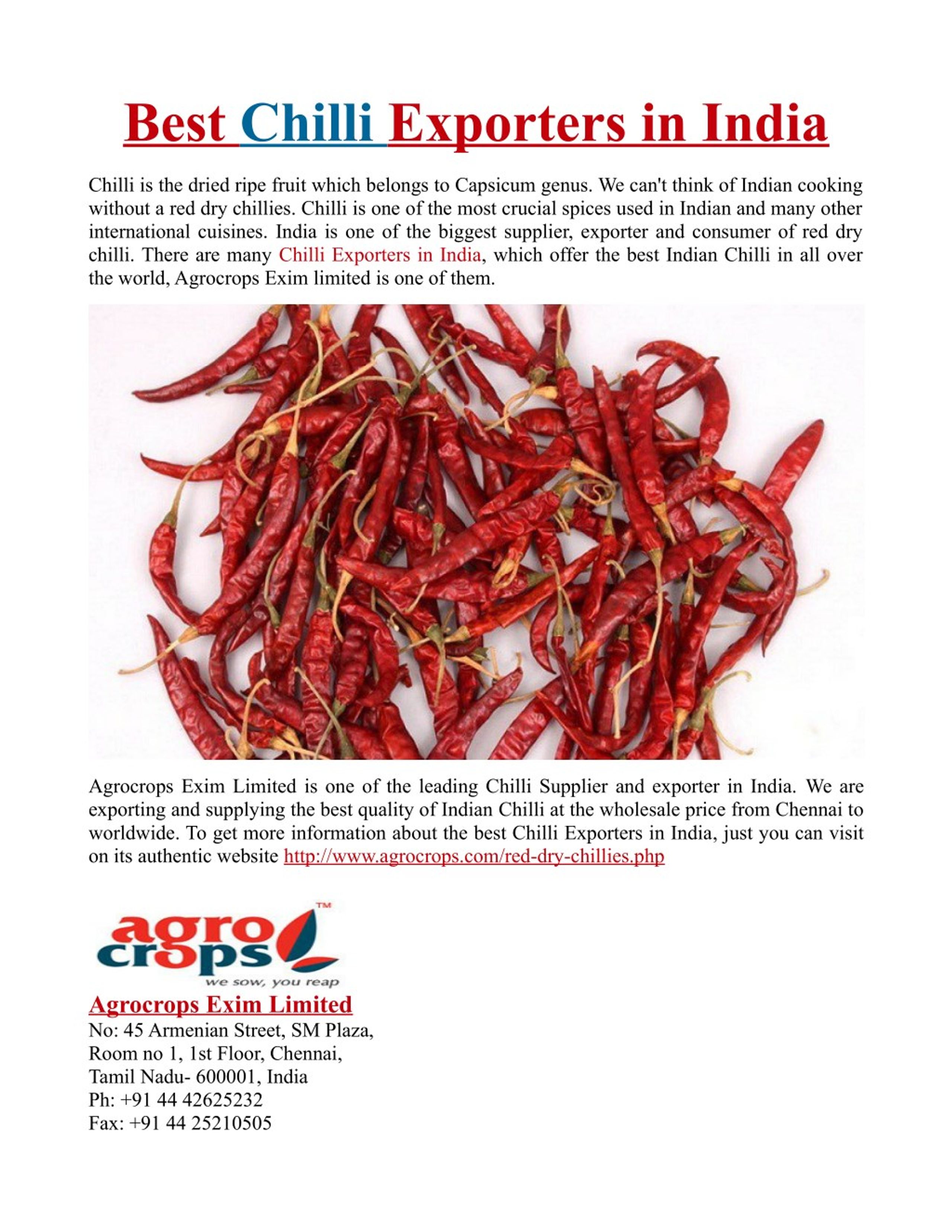 PPT - Best Chilli Exporters in India PowerPoint Presentation, free ...