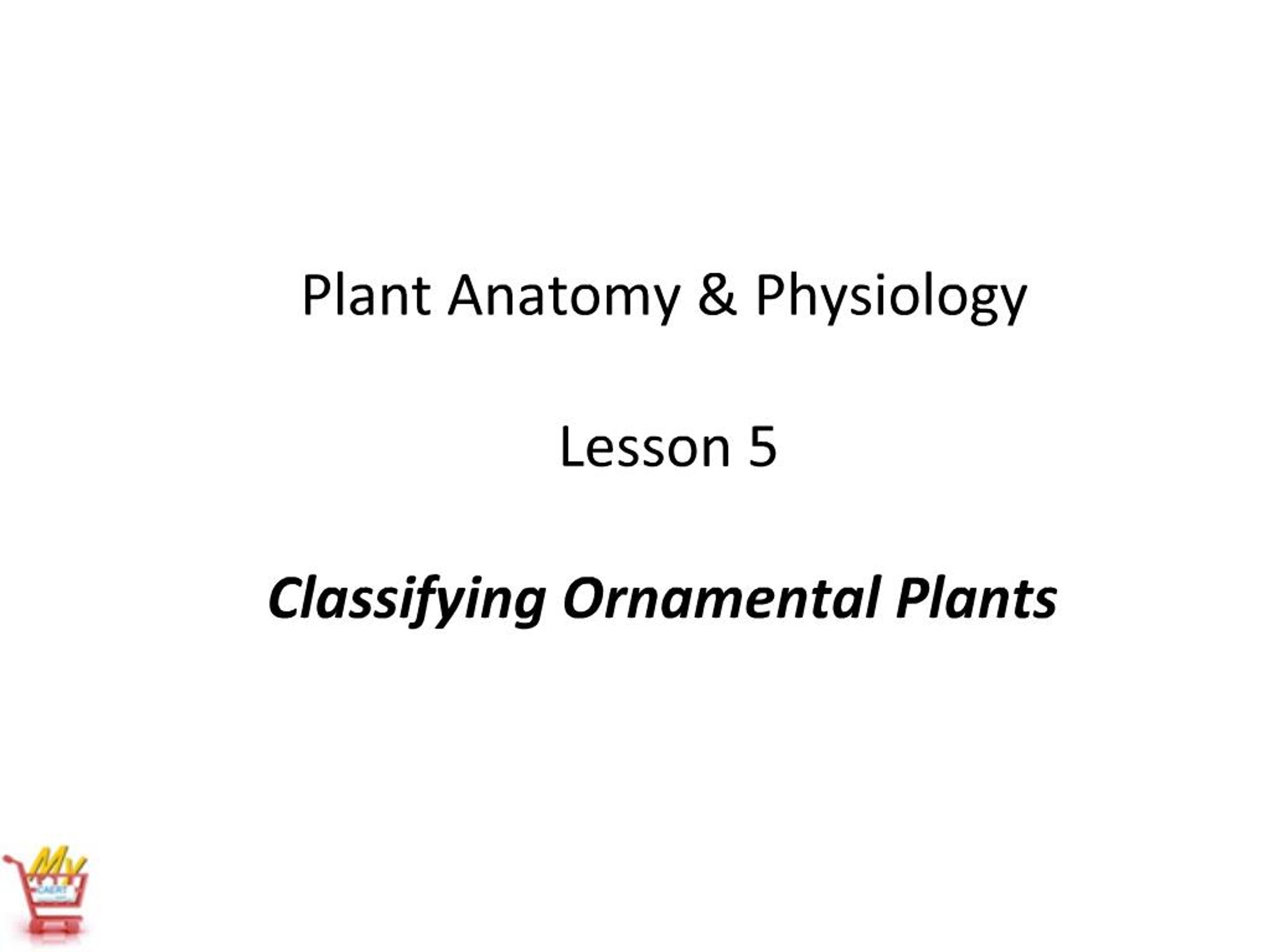 PPT - Plant Anatomy Physiology Lesson 5 Classifying Ornamental Plants ...