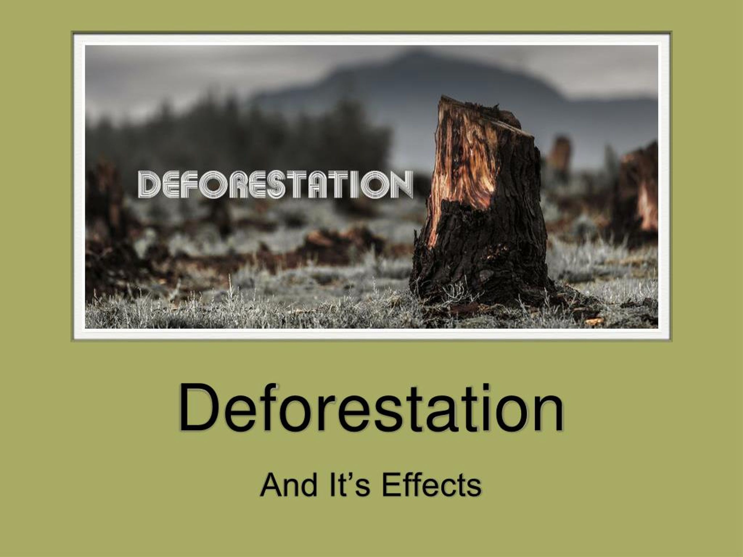 PPT - Deforestation and It's Effects PowerPoint Presentation, free ...