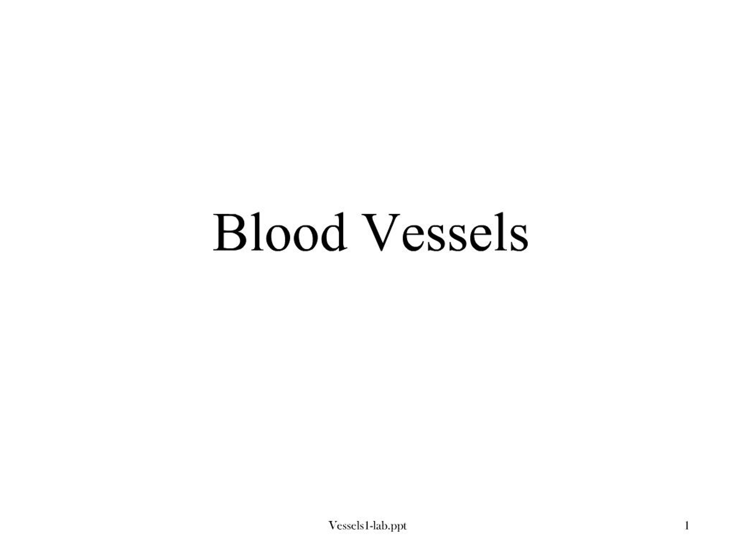 PPT - Blood Vessels PowerPoint Presentation, free download - ID:778291