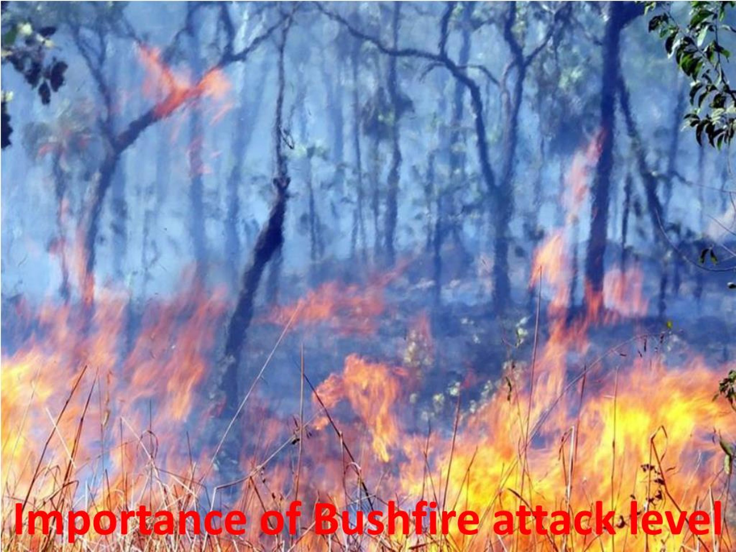 PPT - Importance of Bushfire attack level PowerPoint Presentation, free ...