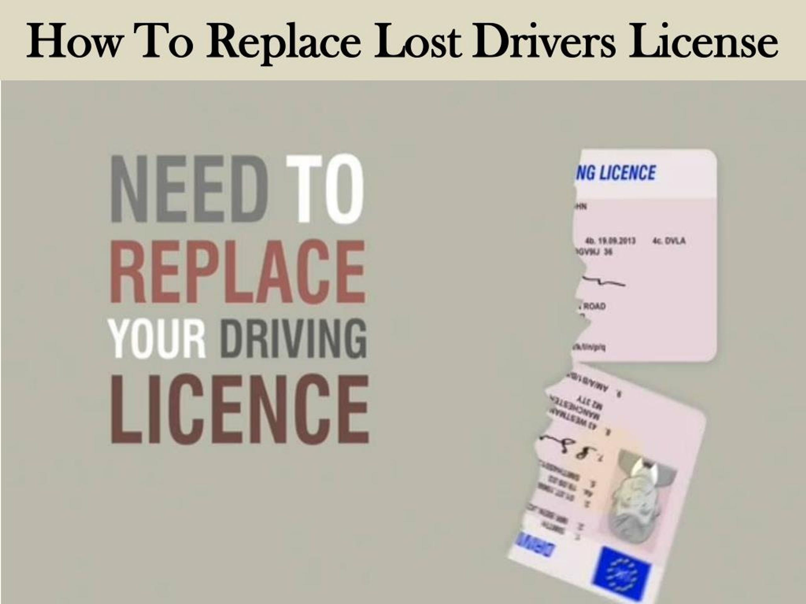 PPT - How To Replace Lost Drivers License PowerPoint Presentation, free ...