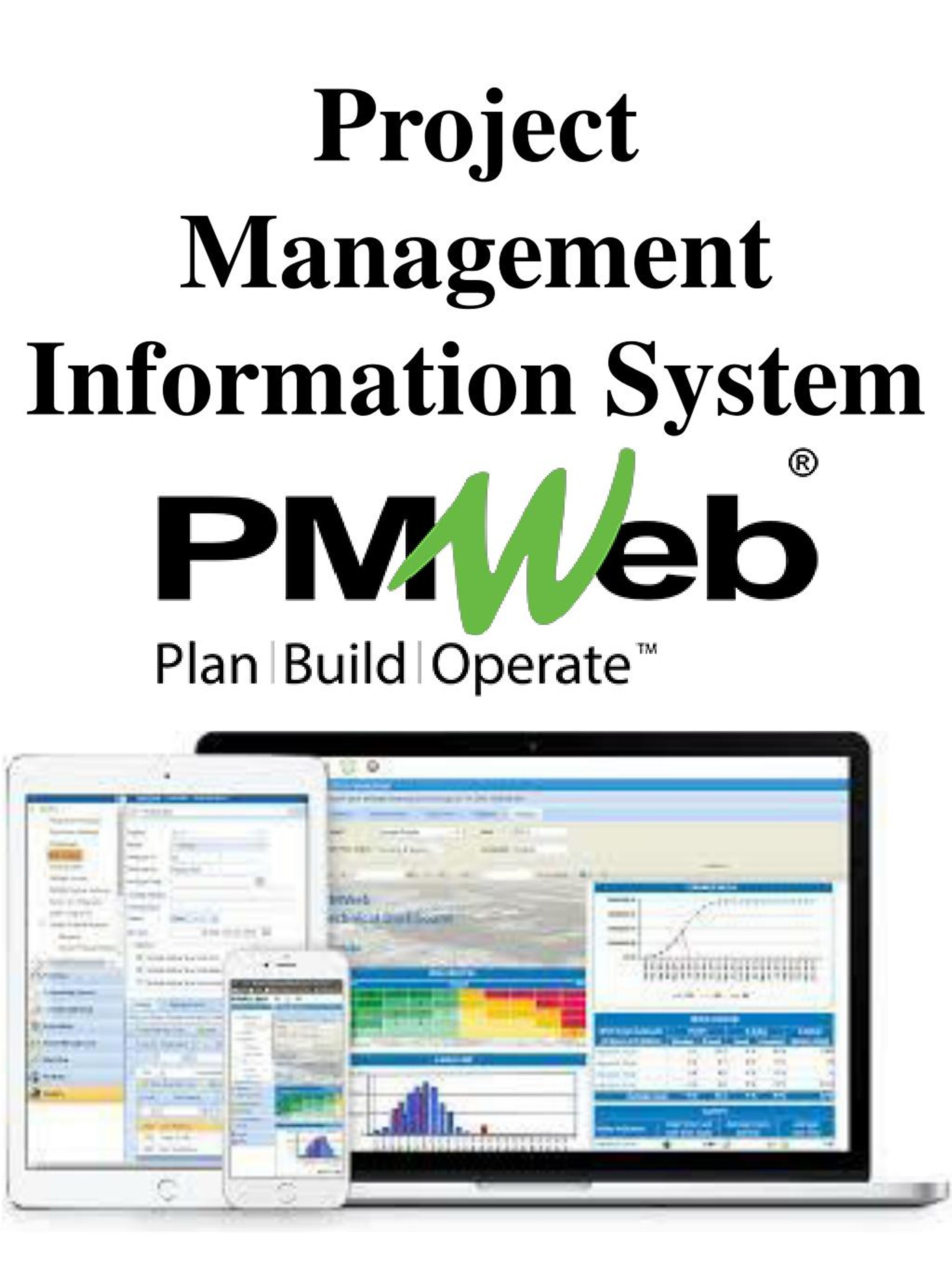 PPT - Project Management Information System PowerPoint Presentation ...