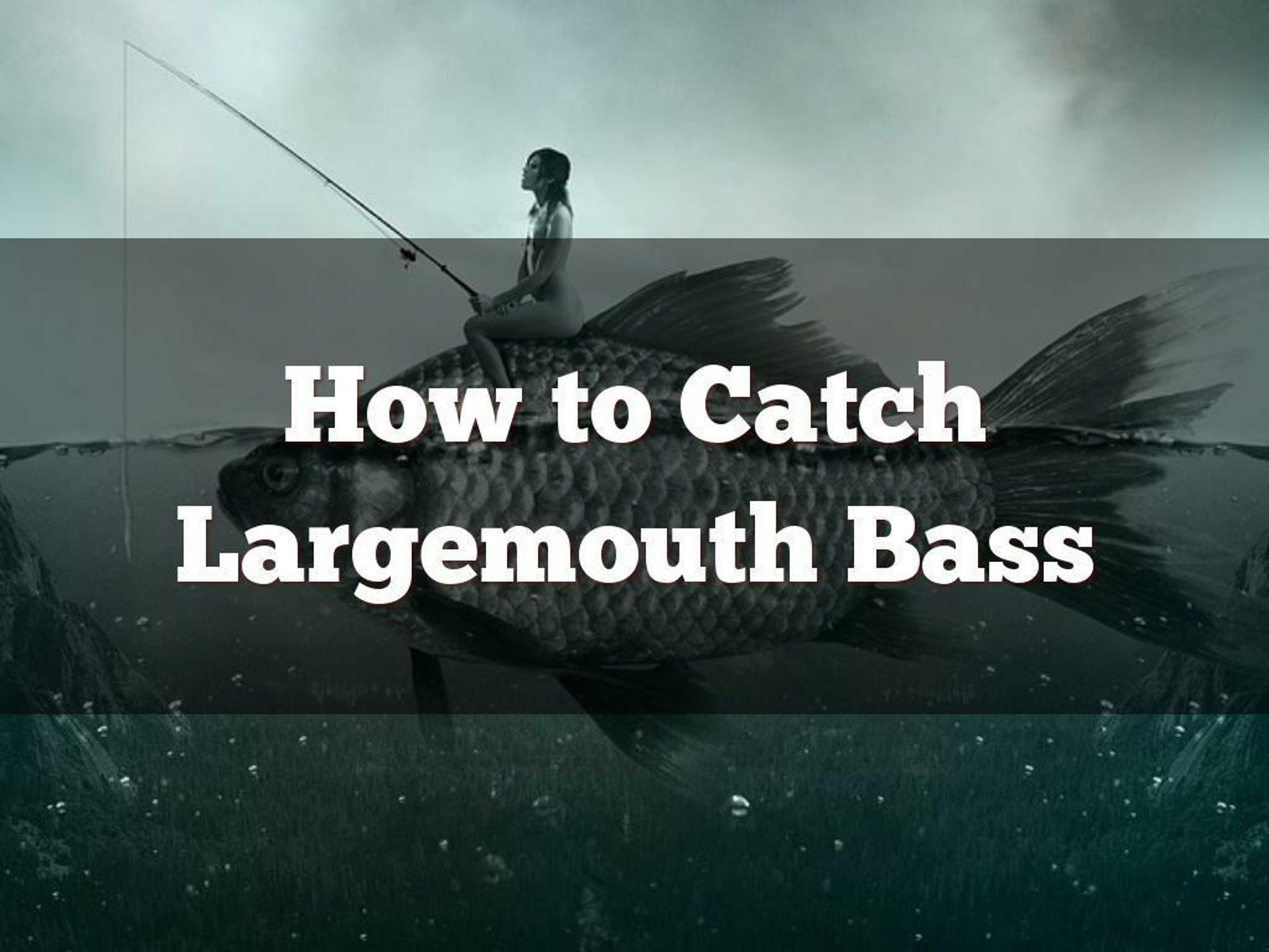 PPT - How to Catch Largemouth Bass PowerPoint Presentation, free ...