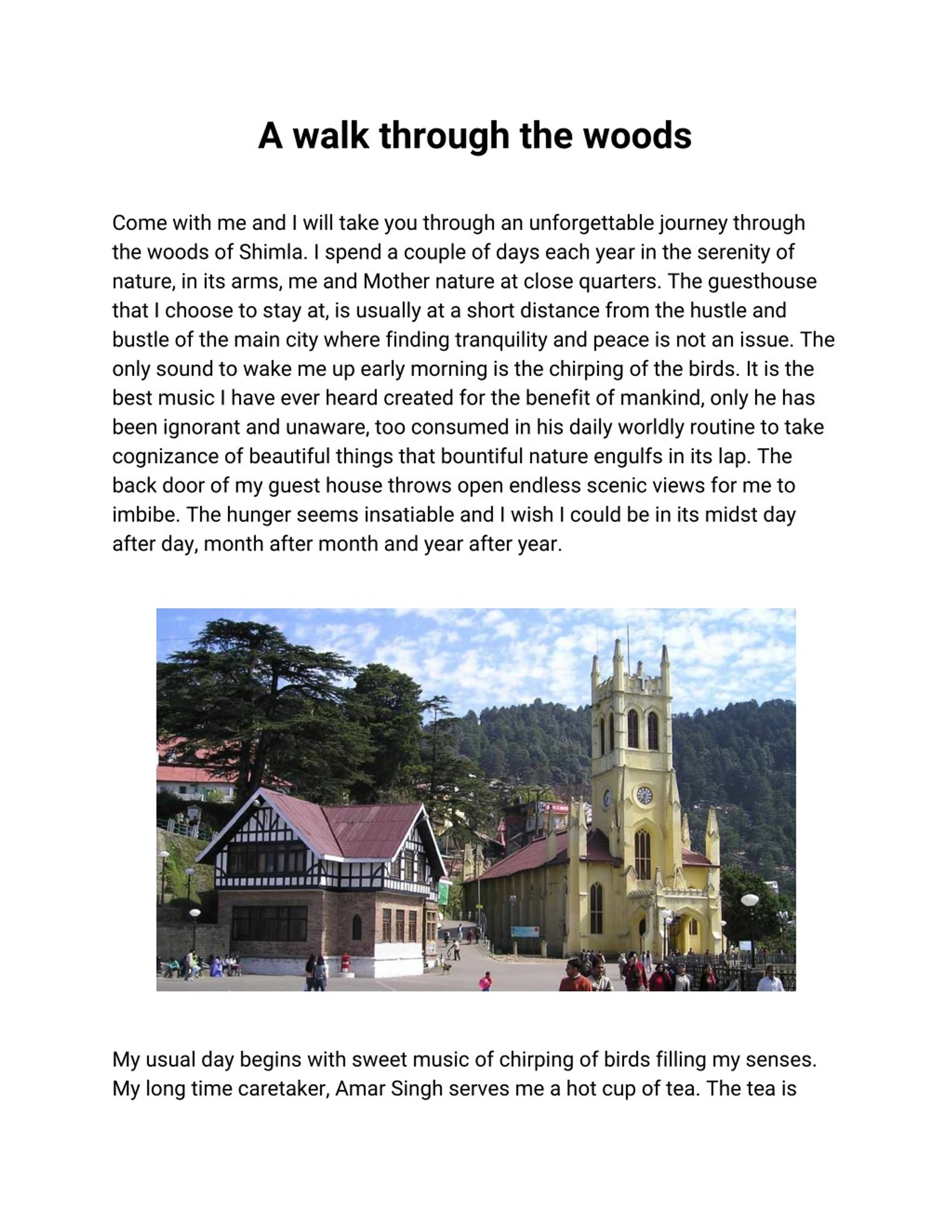 PPT - A walk through the woods PowerPoint Presentation, free download ...