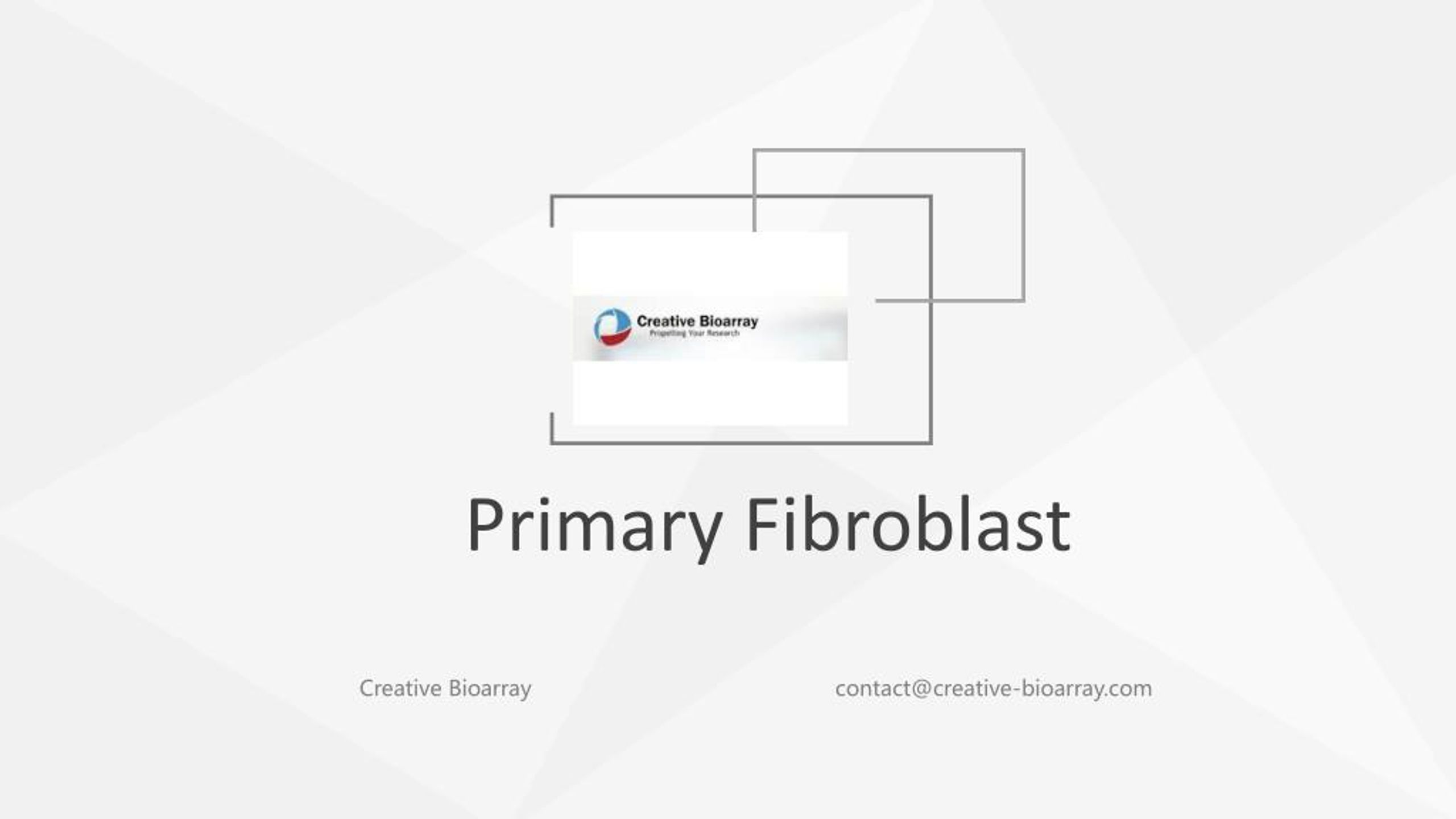 PPT - Primary fibroblasts PowerPoint Presentation, free download - ID ...