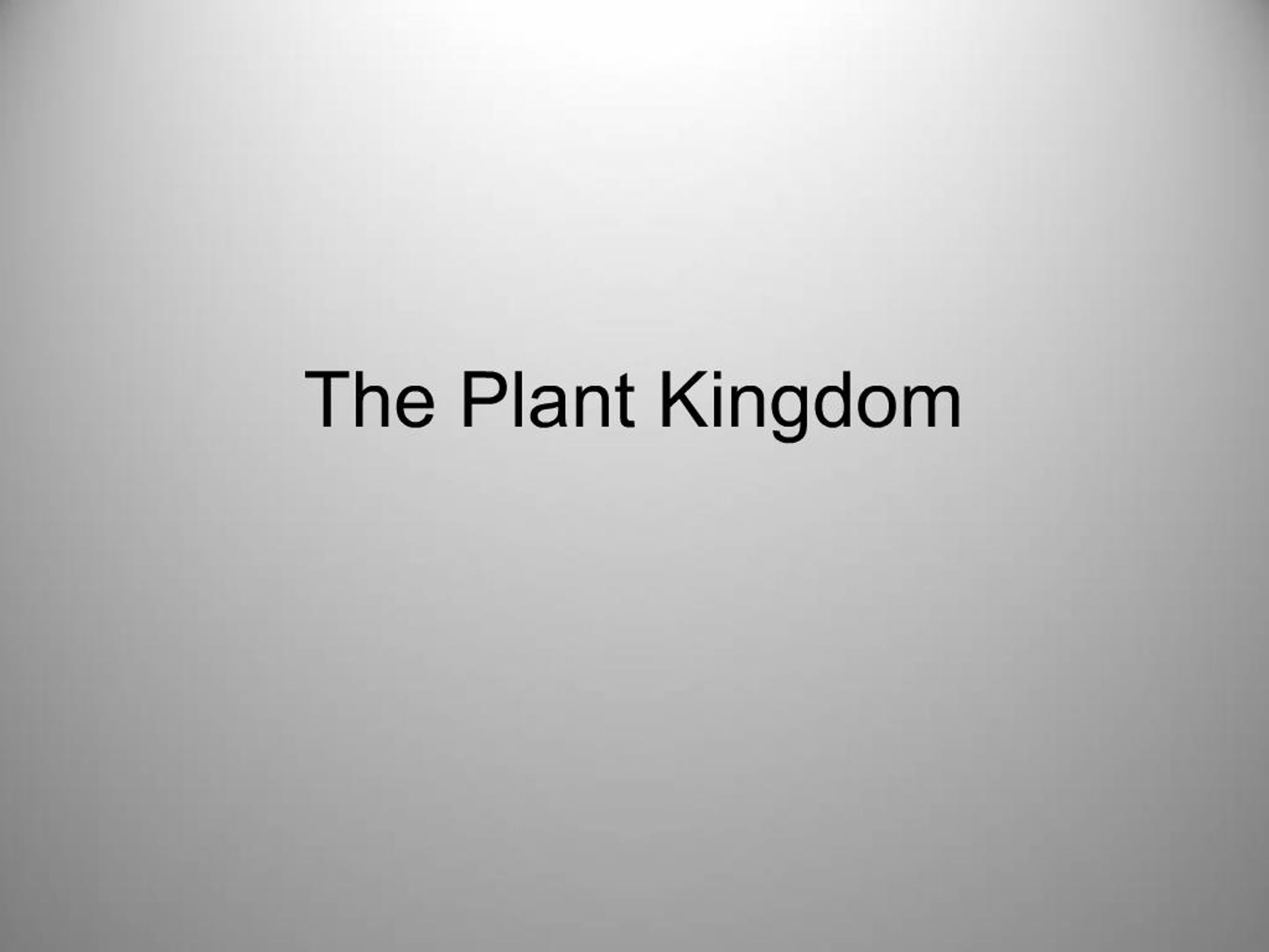 PPT - The Plant Kingdom PowerPoint Presentation, free download - ID:787965